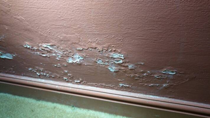 The Effect Of Salts In Old Buildings. What Damages They Cause