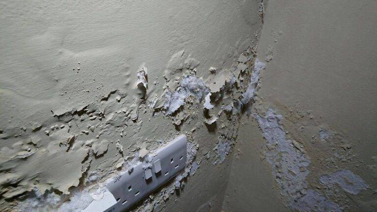 The Effect Of Salts In Old Buildings. What Damages They Cause