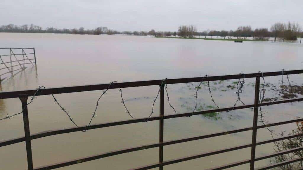 High Water Table - Sympathetic Solutions