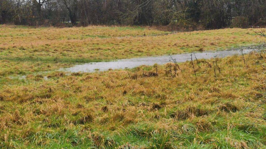 High Water Table - Sympathetic Solutions
