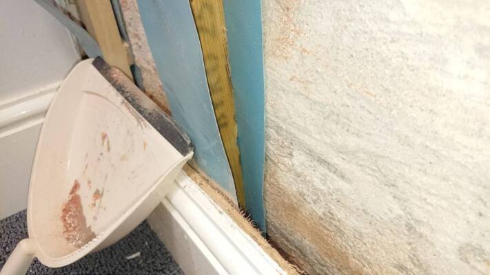 Damp Patches On Plasterboard - Core Conservation